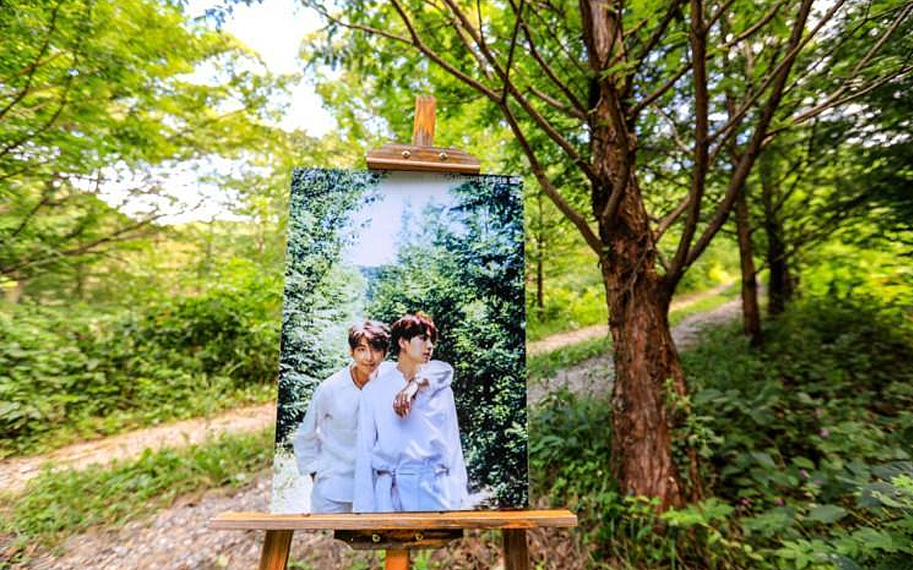 "BTS가 머문 그 숲"... 10년 만에 개방된 자작나무숲, 8월에 꼭 가봐야 할 곳